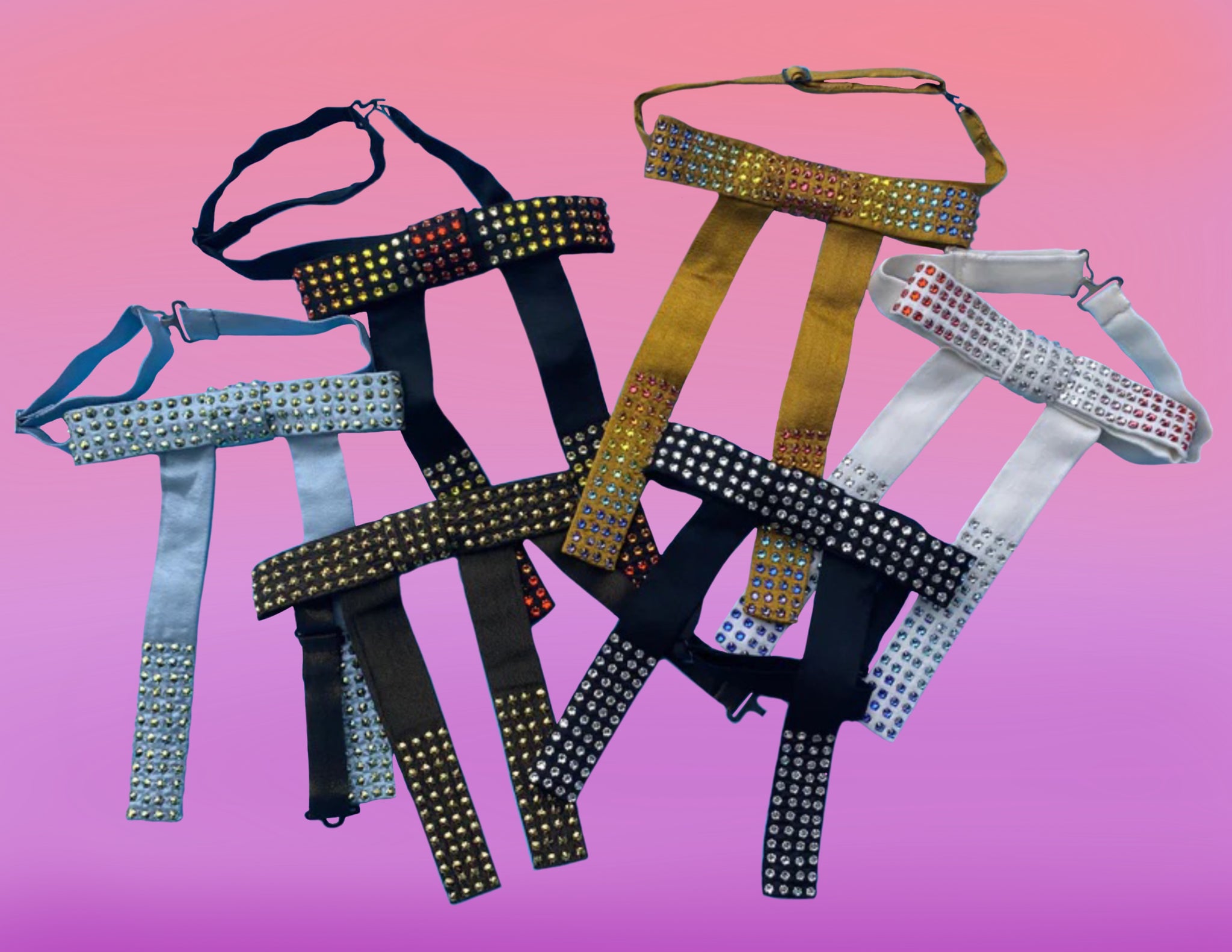 HAUS OF SHINY SHIT — Fort Lonesome